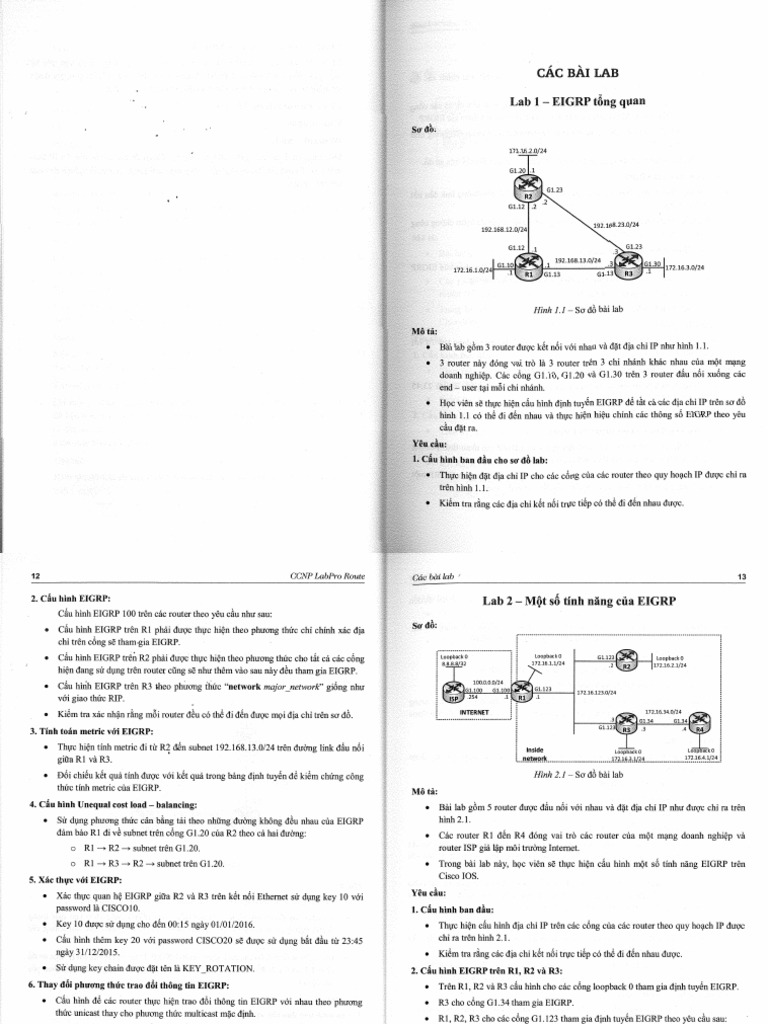 Ebook Lab CCNP-Router | PDF