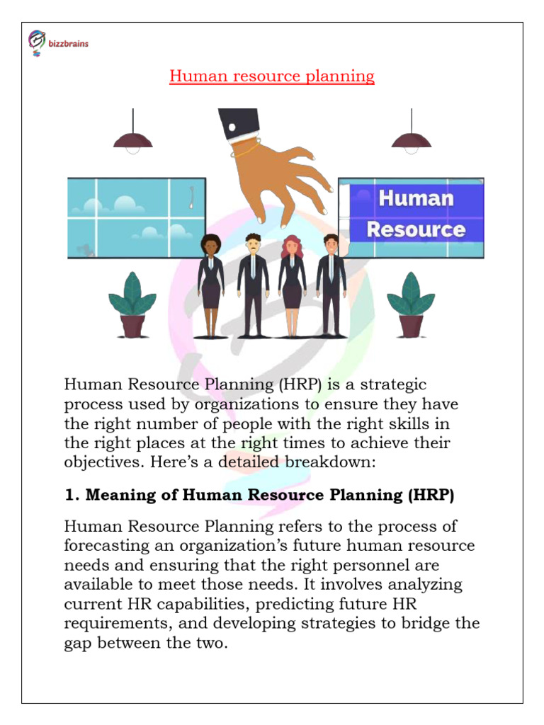 Human Resource Planning Strategies | PDF | Human Resources | Human ...