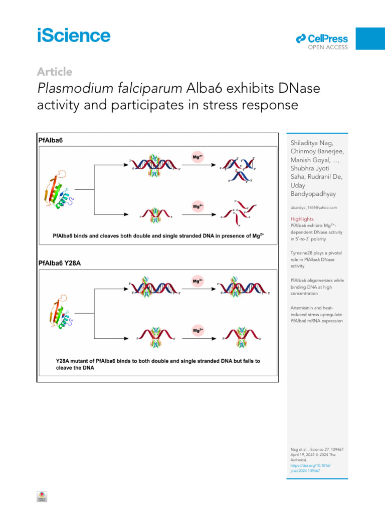 Plasmodium Falciparum Alba6 Exhibits DNase Activit | PDF | Proteins | Dna