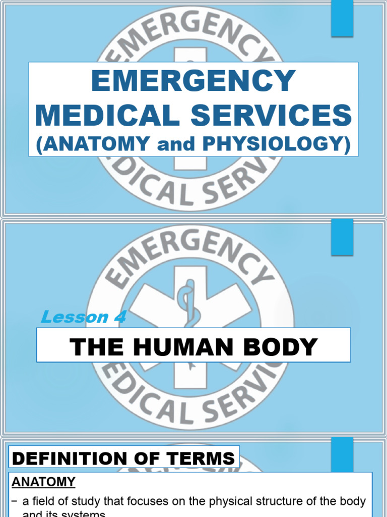 Lesson 4 THE HUMAN BODY | PDF | Respiratory Tract | Breathing