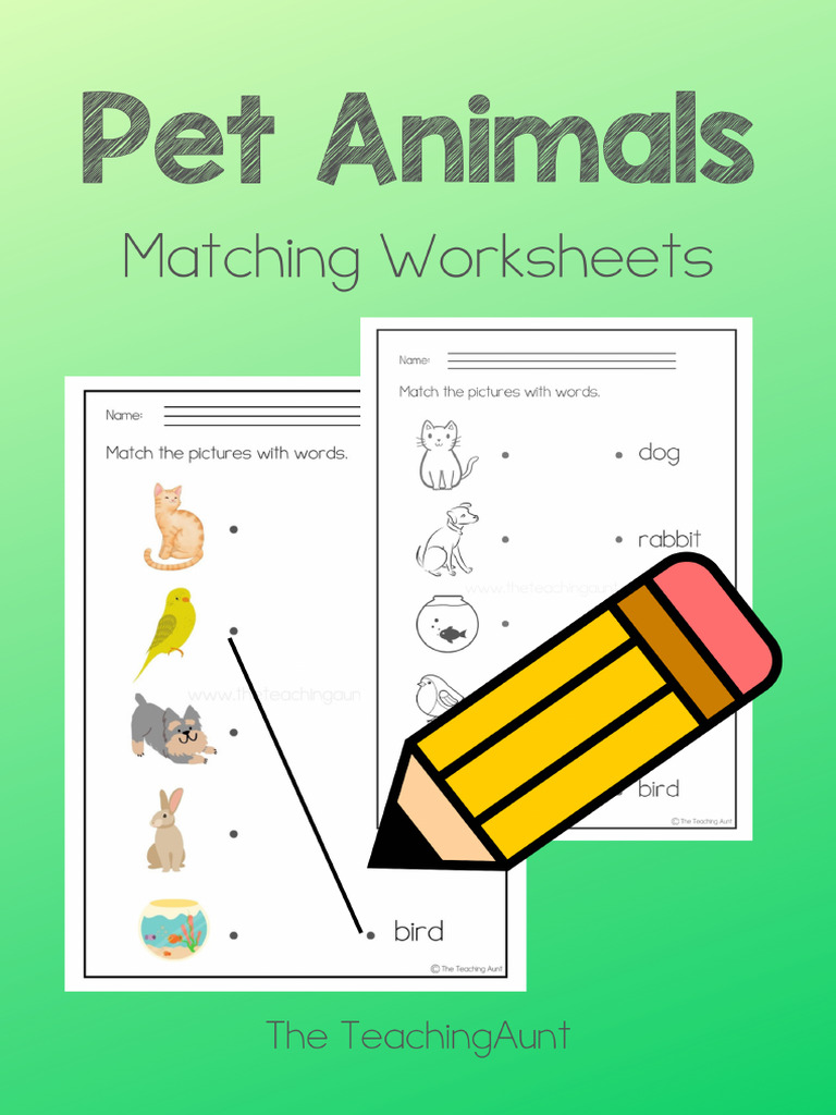 Pet Animals Matching | PDF