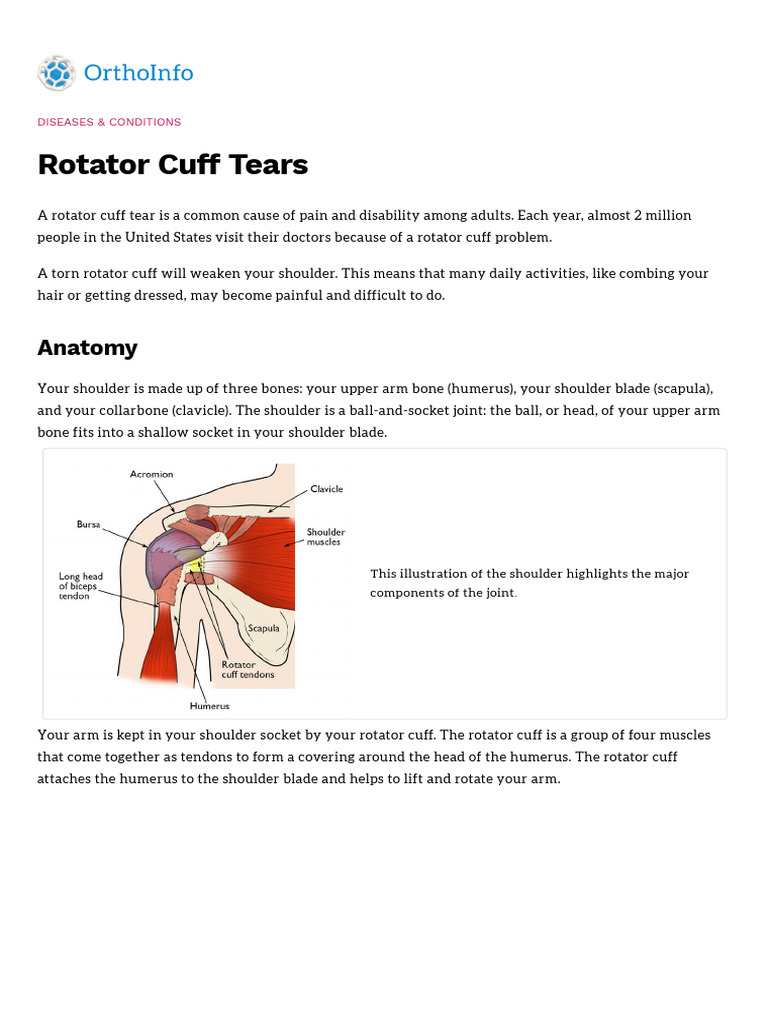 Rotator Cuff Tears - OrthoInfo - AAOS | PDF | Shoulder ...