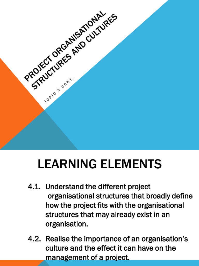 Project Org Structure Topic 1a | PDF | Organizational Culture | Social Psychology