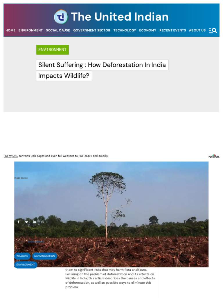 Effect of Deforestation on Wildlife | PDF | Deforestation | Habitat ...