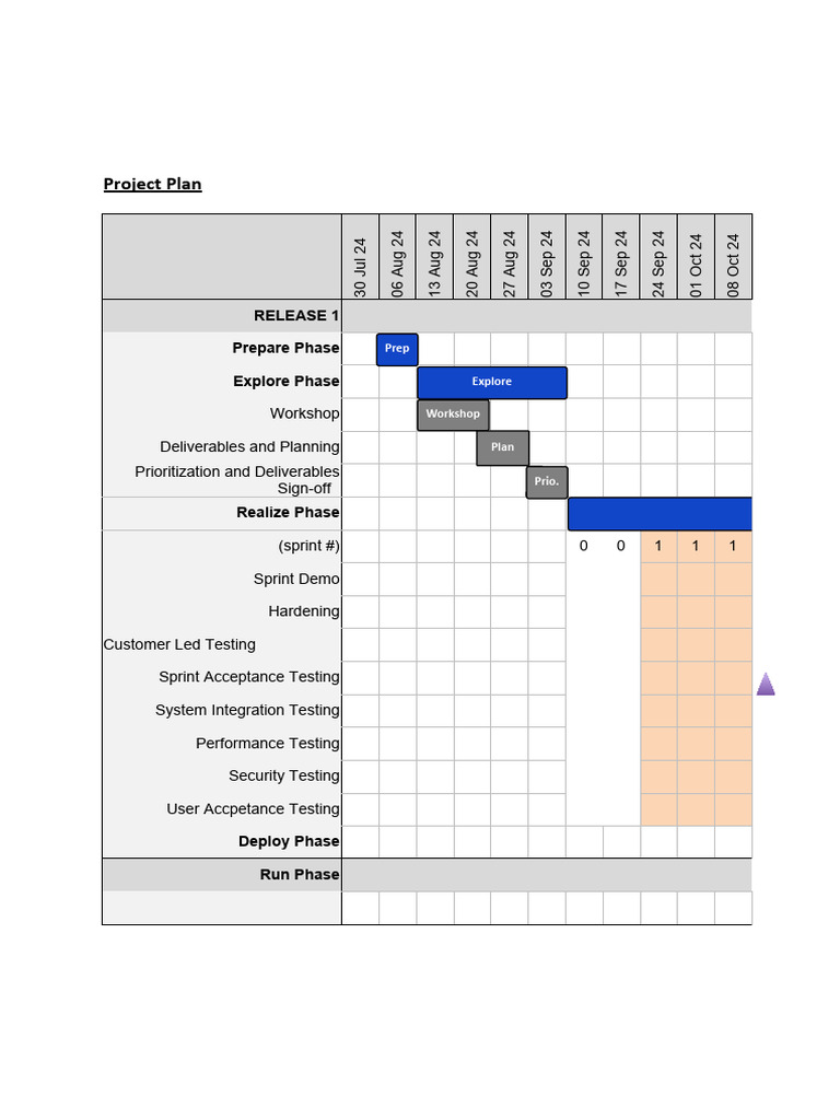 Customer ProjectPlan Template | PDF | It Service Management | Quality ...