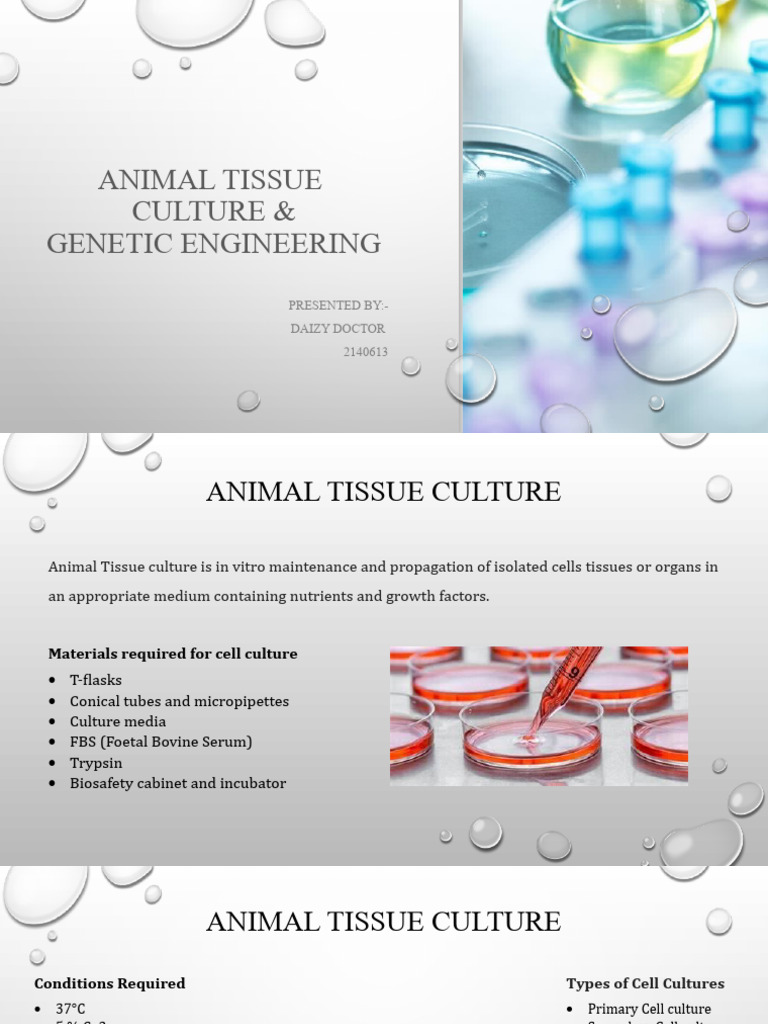 Animal Tissue Culture and Genetic Engineering | PDF | Cell Culture ...