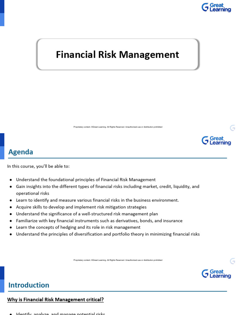 Financial+Risk+Management | PDF | Financial Risk | Hedge (Finance)