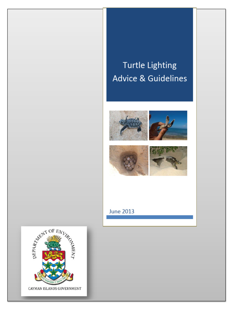 Turtle Beach-lighting-guidelines-June-2013 | PDF | Sea Turtle | Turtle