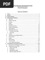 LGU Comprehensive Development Plan | PDF