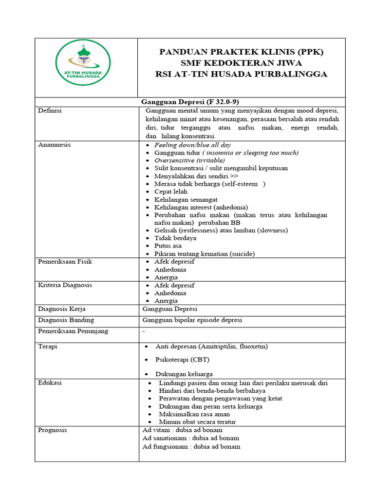 FILE PPK Gangguan Depresi | PDF