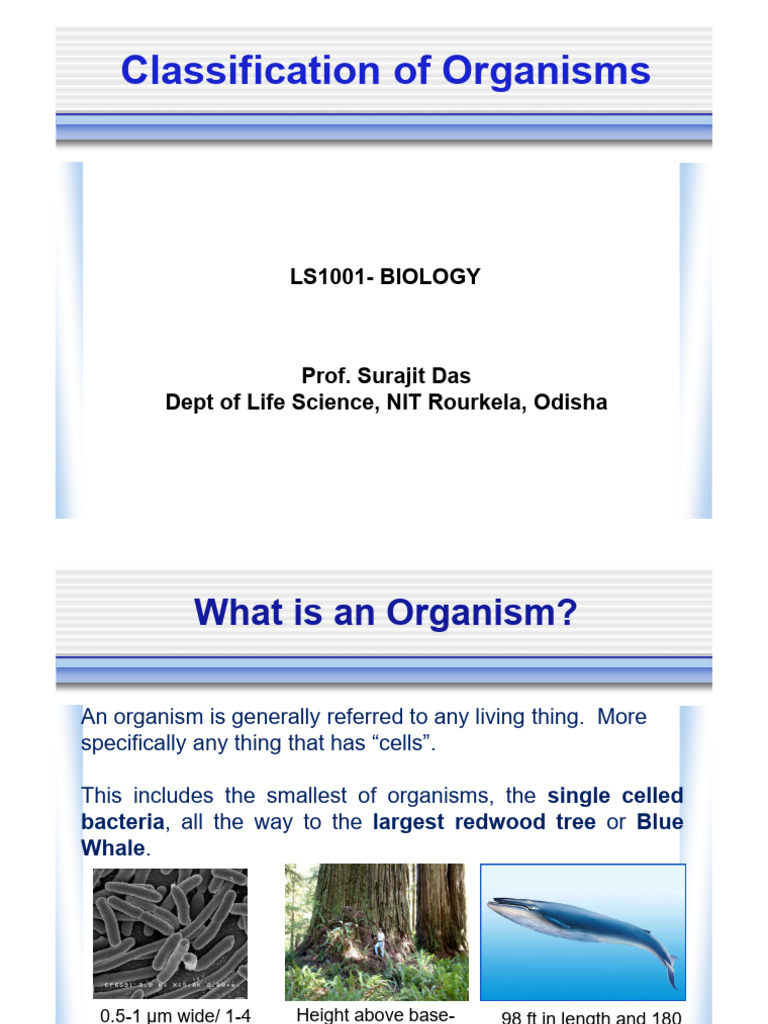 Classification of Organisms | PDF | Taxonomy (Biology) | Cell (Biology)