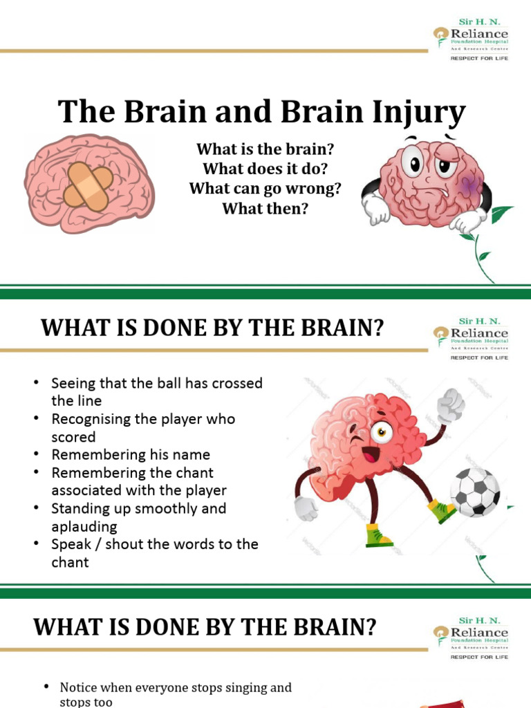 The Brain and Brain Injury - Main | PDF | Stroke | Brain