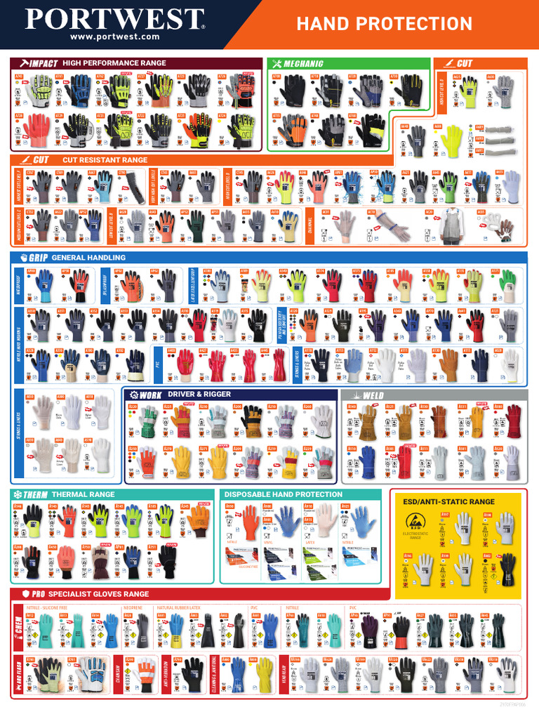 Glove - Wall Chart | PDF
