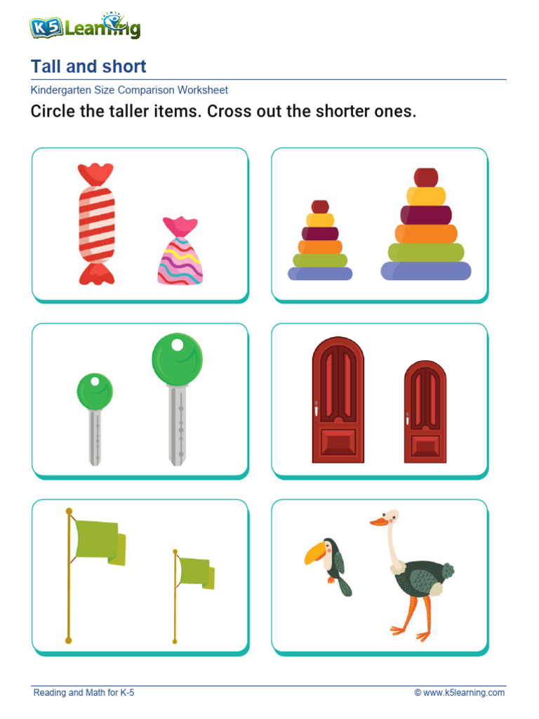 Kindergarten Tall or Short 5 | PDF | Career & Growth