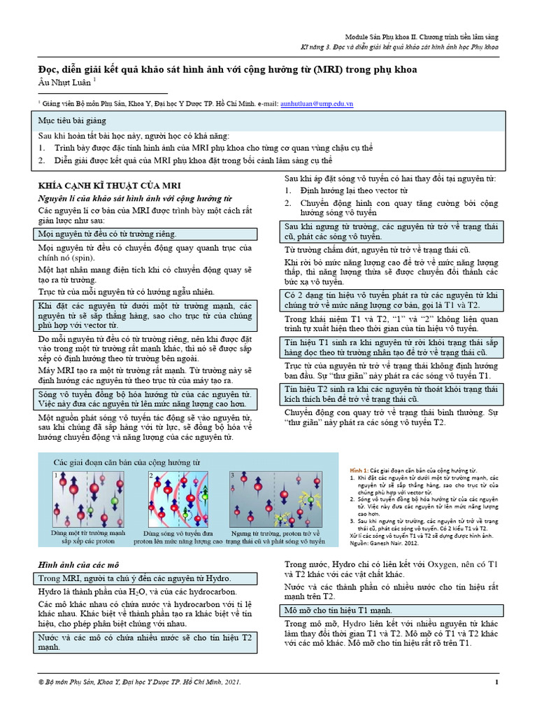 Handout MRI Trong PH Khoa | PDF