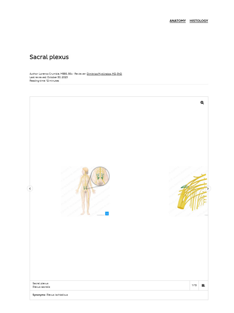 Anatomy and Function of Sacral Plexus | PDF | Human Leg | Pelvis