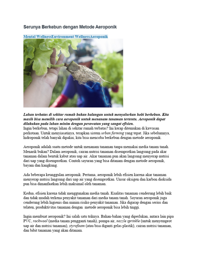 Serunya Berkebun Dengan Metode Aeroponik | PDF