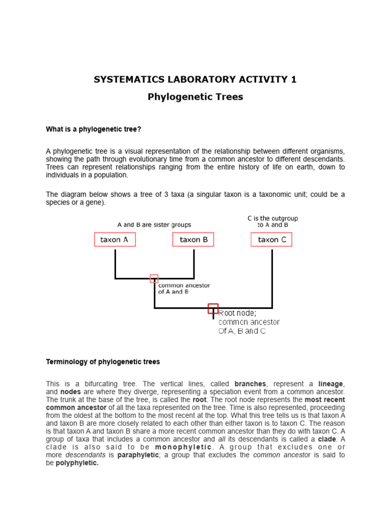 Systematics Lab Act-1 | PDF | Phylogenetic Tree | Clade