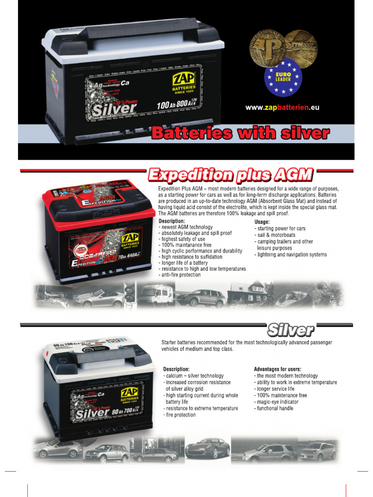 Zap Batteries | PDF
