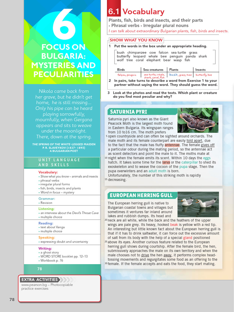 08 Focus 4 Part 1 Unit 6 | PDF | Perfect (Grammar)