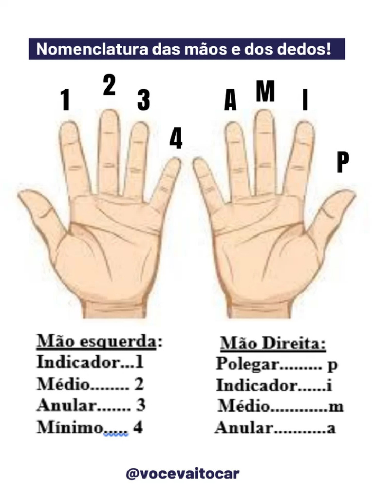 Nomenclatura Dos Dedos Blog 724x1024 | PDF