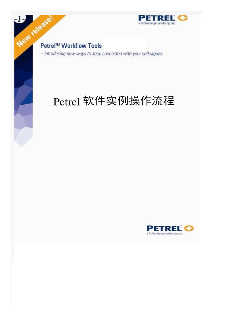 Petrel中文教程 | PDF