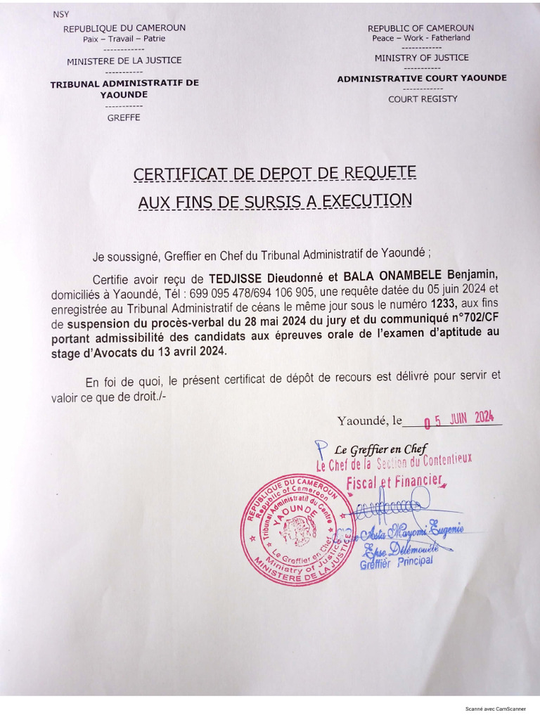 Recours Gracieux Et Suspensif Tedjisse Et Bala | PDF