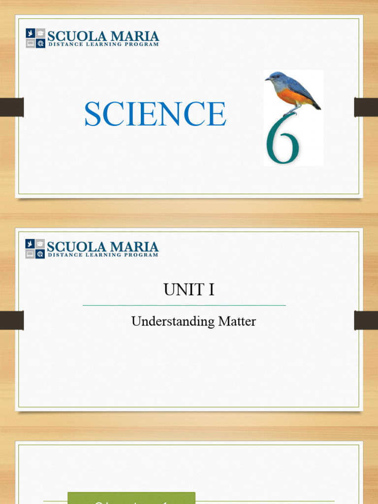 SCI6-LESSON 1.2-Classifying | PDF