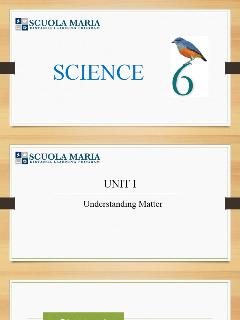 Sci6 Lesson 1 3 Measuring Pdf Home Garden Wellness