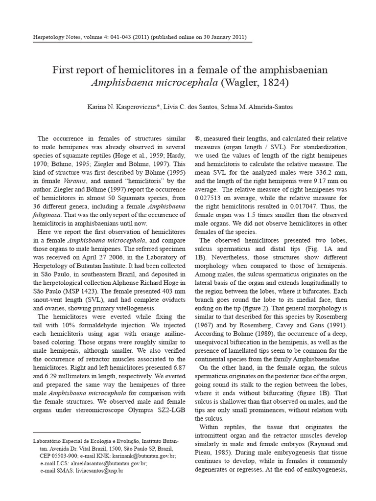 2011 - First Report of Hemiclitores in A Female of The Amphisbaenian ...