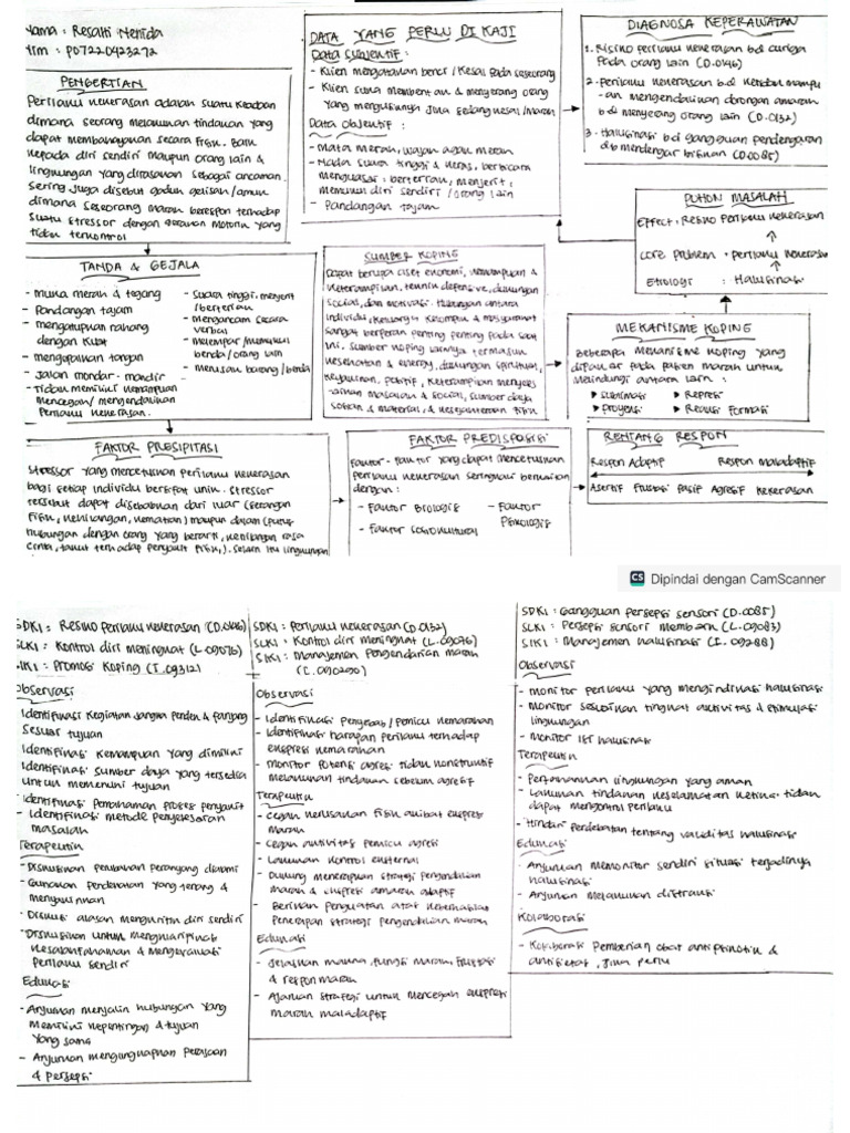 Perilaku Kekerasan - Eca | PDF
