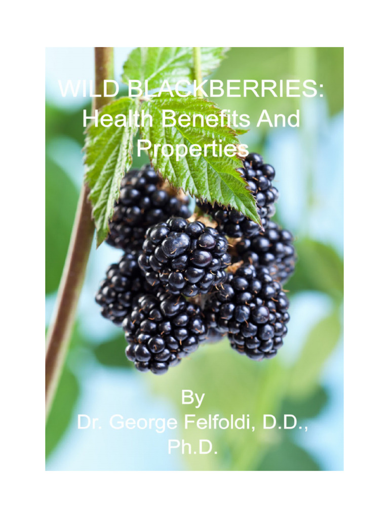 2024 - George Felfoldi (eBook-Health) - Wild Blackberries, Health ...