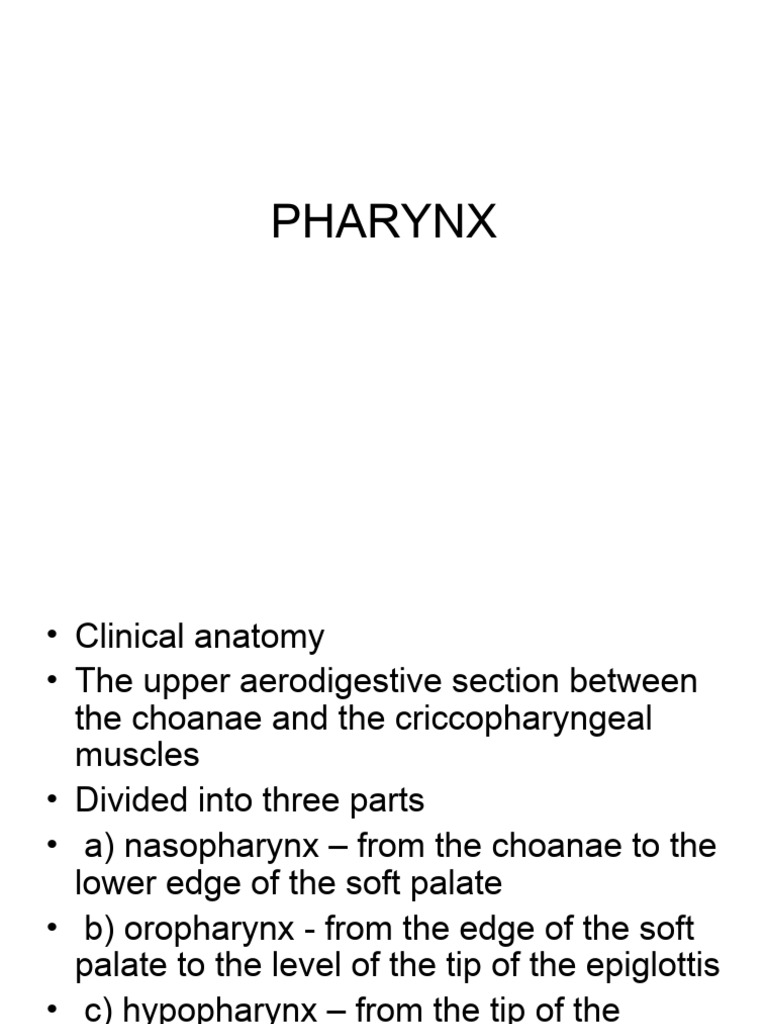 PHARYNX | PDF | Gastroesophageal Reflux Disease | Esophagus