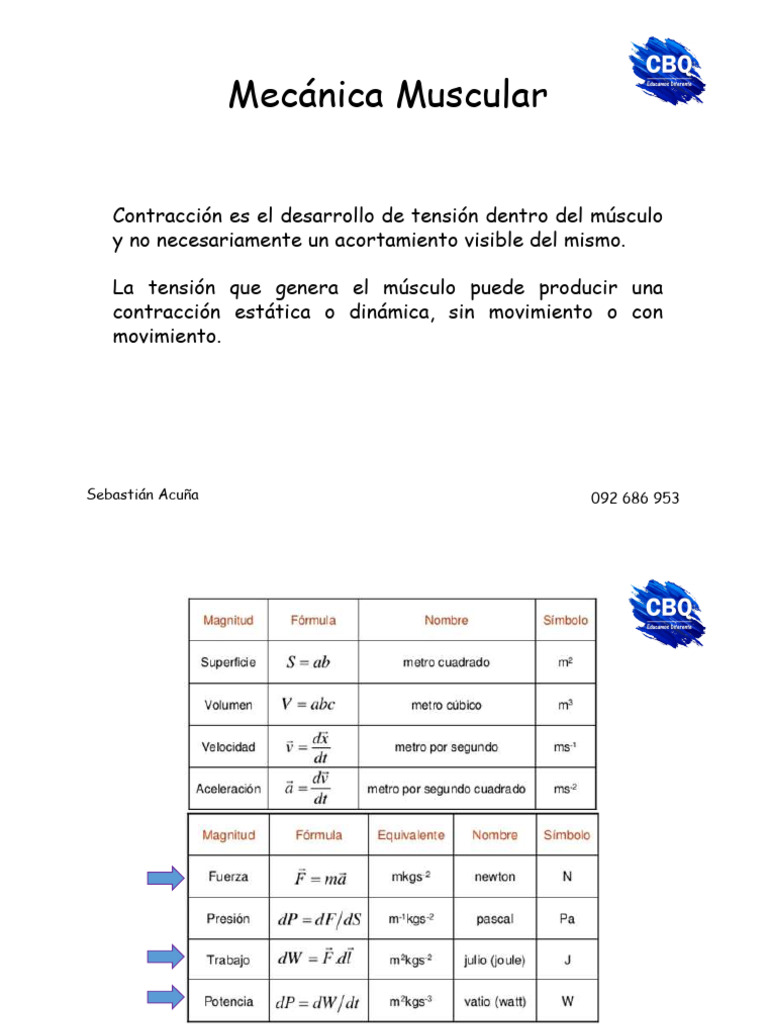Mecanica Del Musculo Esqueletico CBQ Parte 1 | PDF | Músculo ...