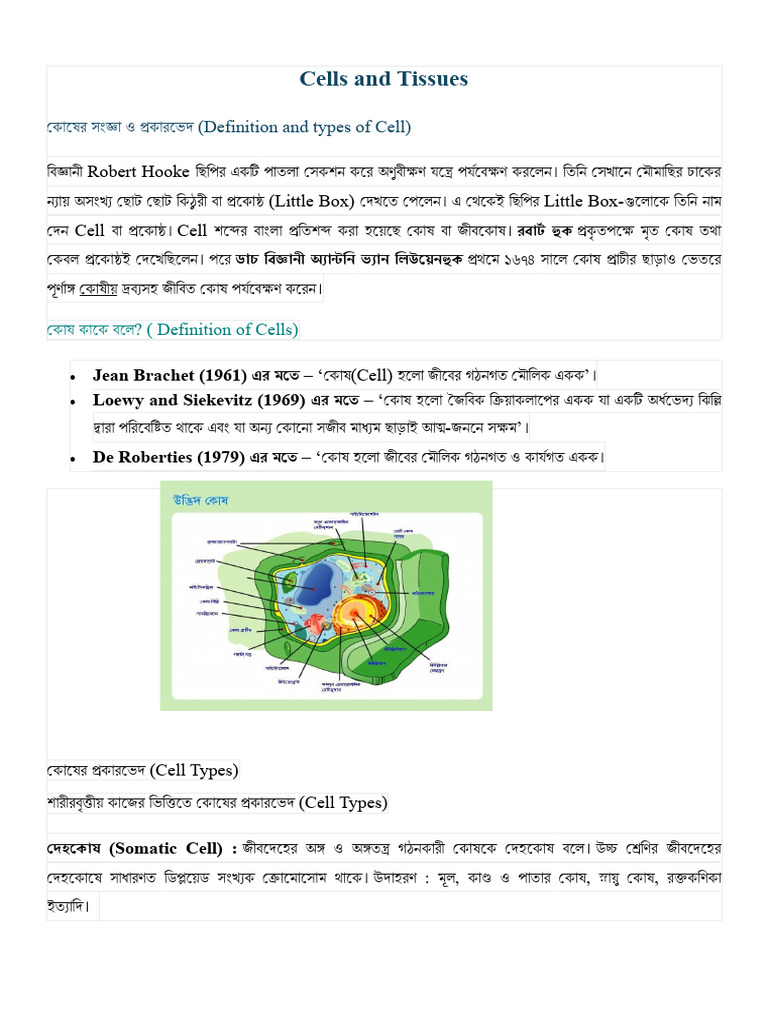 Cells and Tissue | PDF