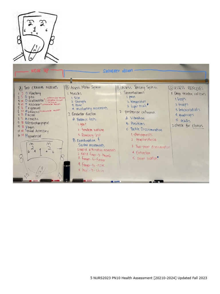 HA Neuro Checklist | PDF | Anatomical Terms Of Motion | Nervous System HA Neuro Checklist | PDF | Anatomical Terms Of Motion | Nervous System