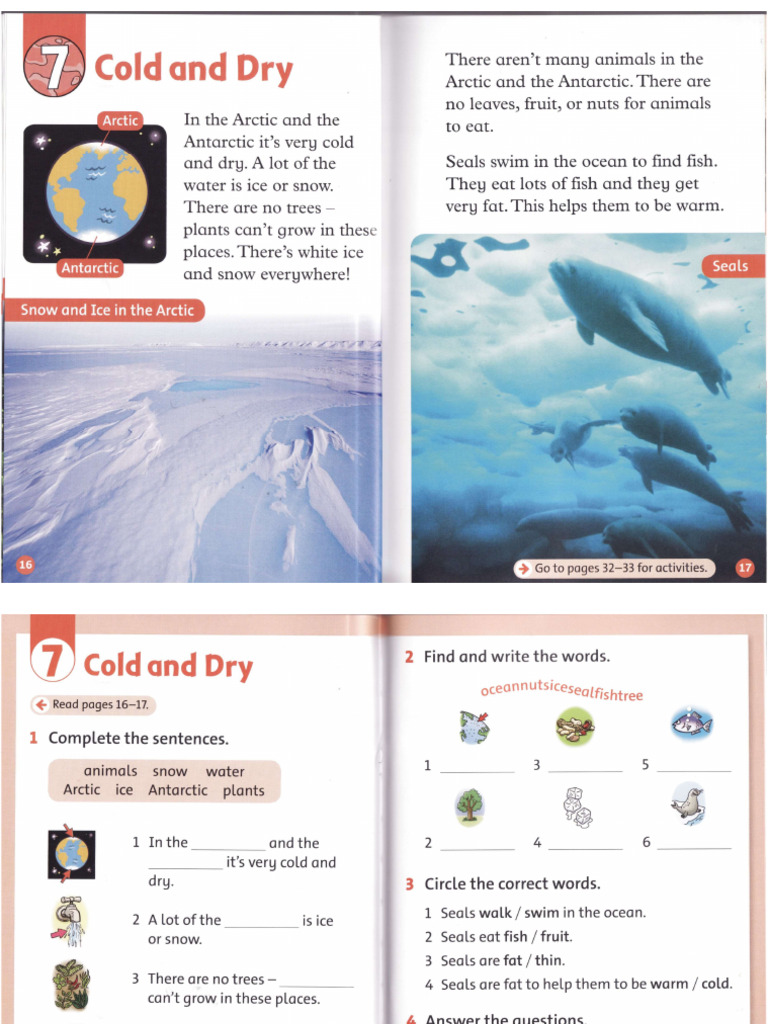 Sunny and Rainy 7 | PDF