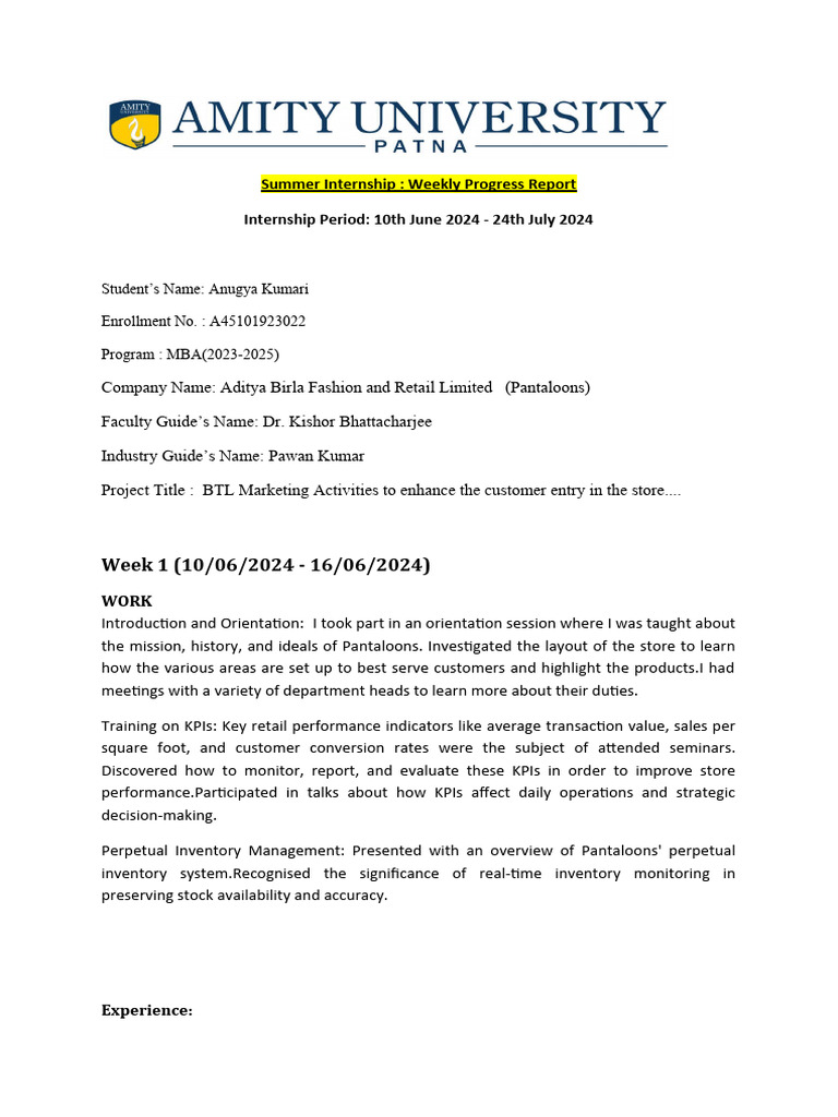 Internship Weekly Report Summary | PDF | Sales | Marketing