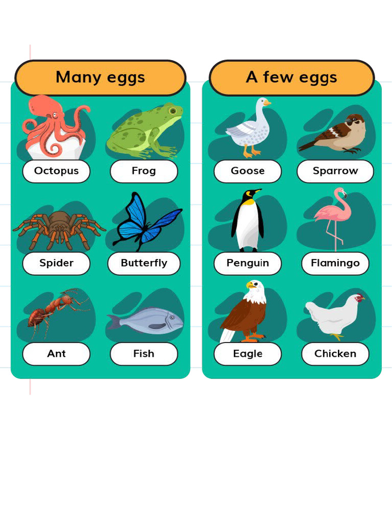 Animals Lay Egg and Giving Birth | PDF