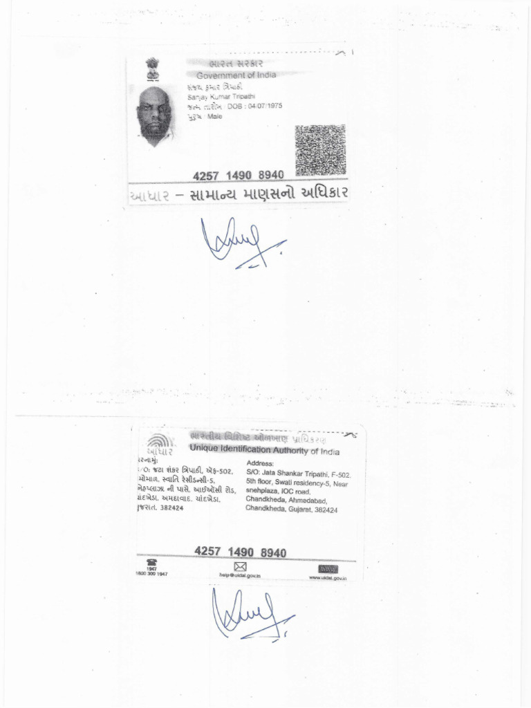 Aadhar and Pan Card | PDF