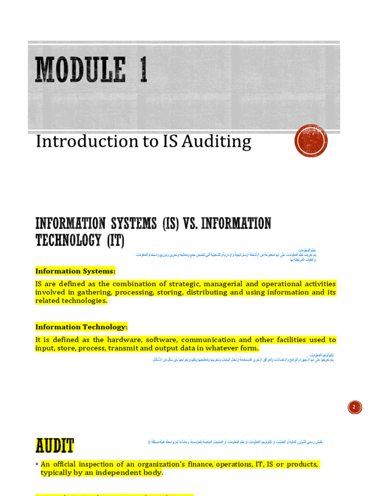 2 - Basics of Auditing | PDF