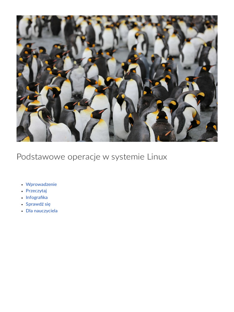 Podstawowe Operacje W Systemie Linux | PDF