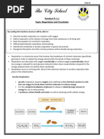 Cambridge Science Book 8 Notes and Solutions | PDF