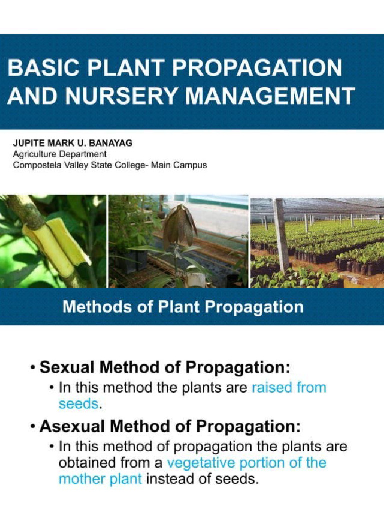 Basic Plant Propagation | PDF