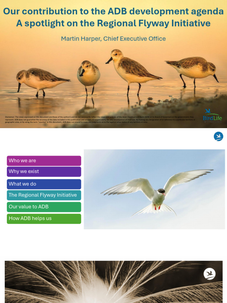 Our Contribution To The ADB Development Agenda: A Spotlight On The Regional Flyway Initiative ...