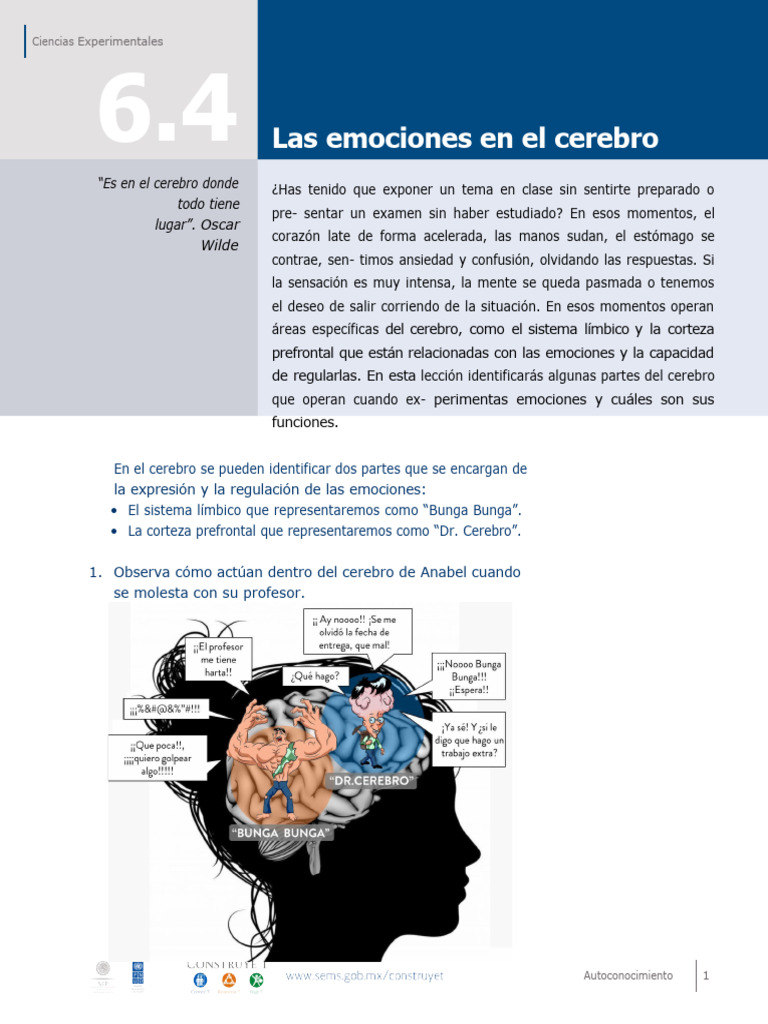 6 4 E Las Emociones En El Cerebro Cexperimentales Pdf Las Emociones