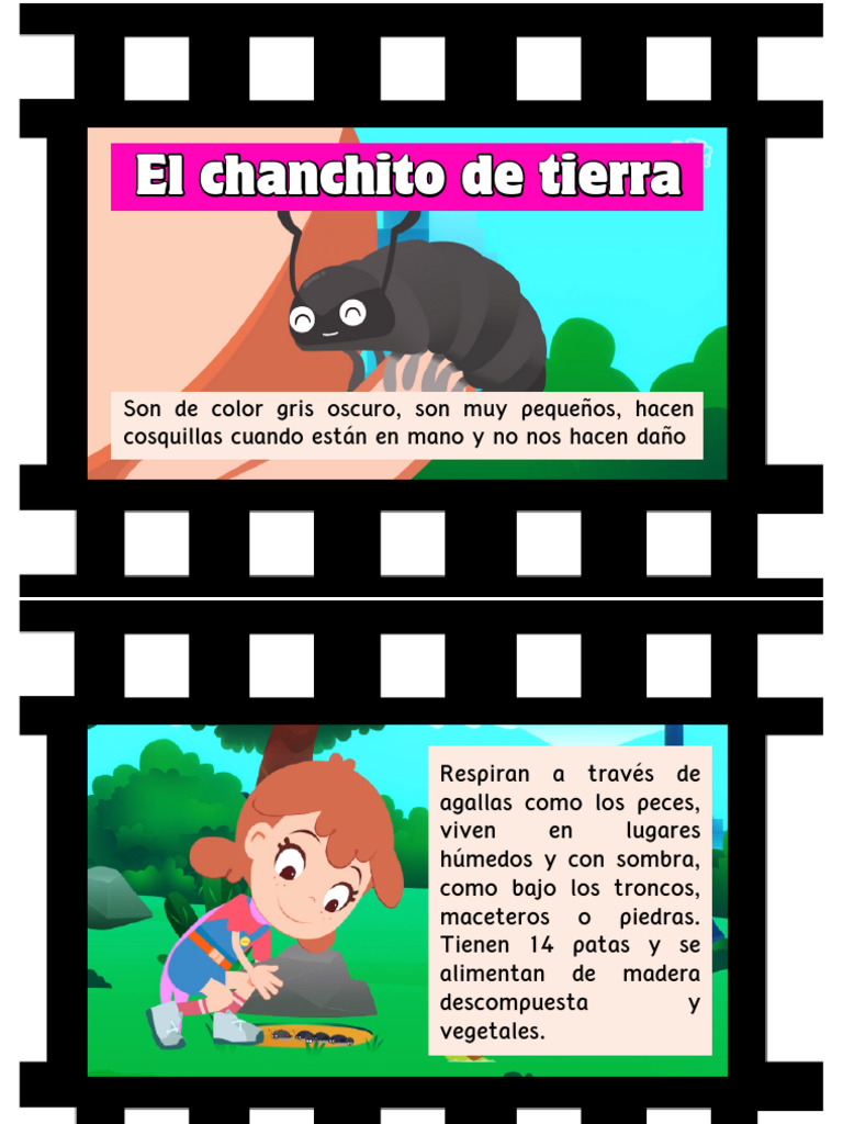Chanchito de Tierra: Tamaño y Curiosidades | PDF | Hogar, jardinería y ...