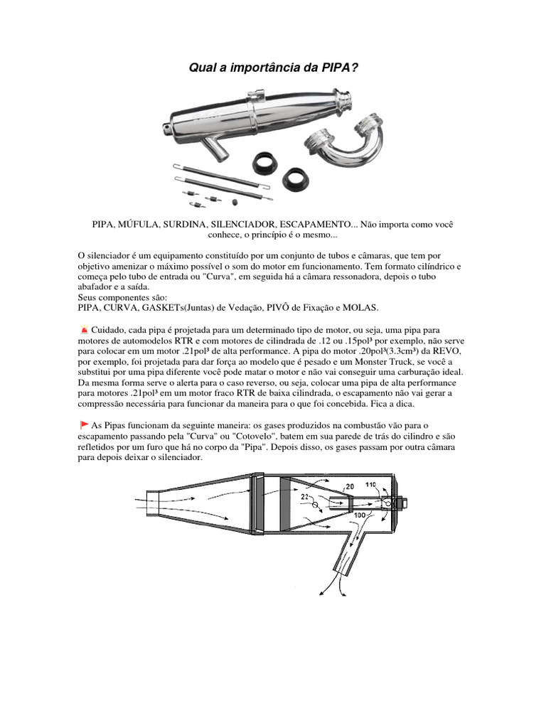 Importância e Funcionamento da PIPA | PDF | Motores