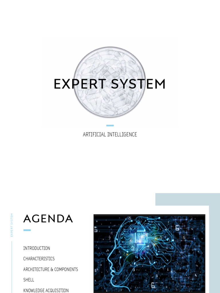Expert System | PDF | Expert | Knowledge