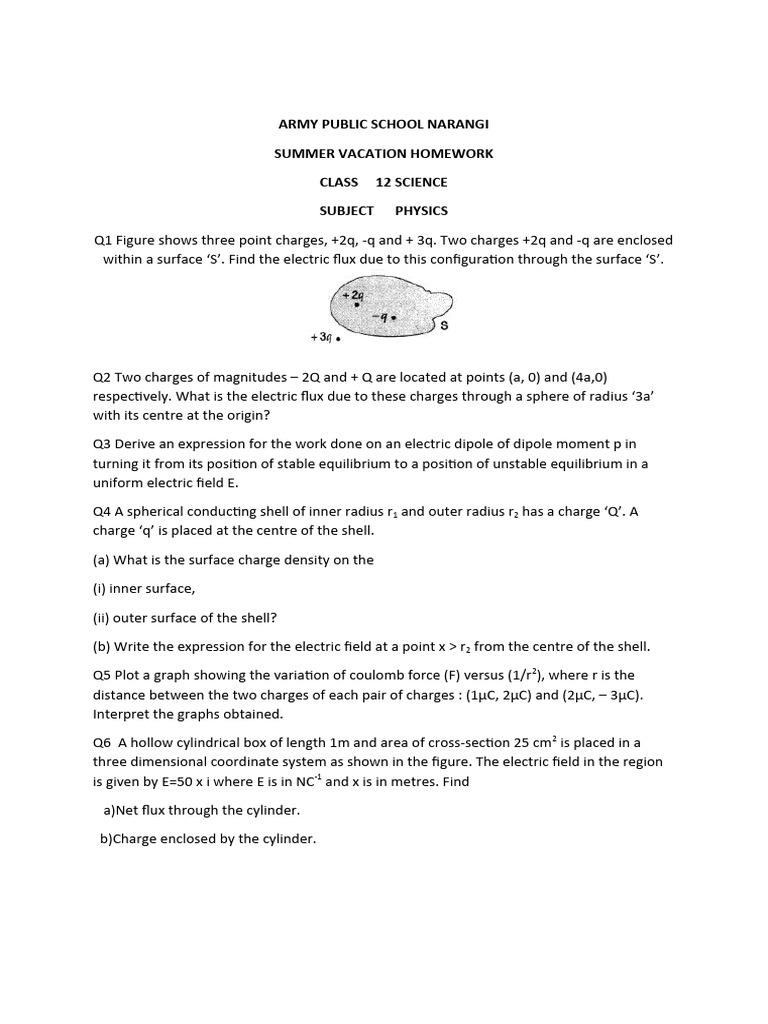 Summer Vacation Homework Physics | PDF | Capacitance | Capacitor
